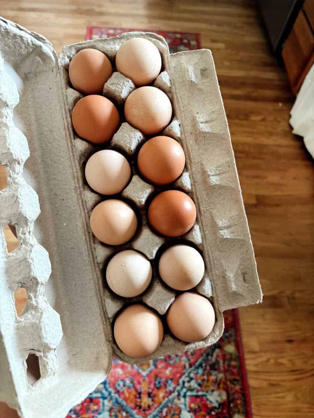 Homemade Chocolate Ice Cream With Raw Milk And Eggs - homesweetspena.com